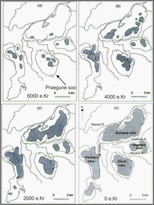 Teke ja areng - Eesti sood